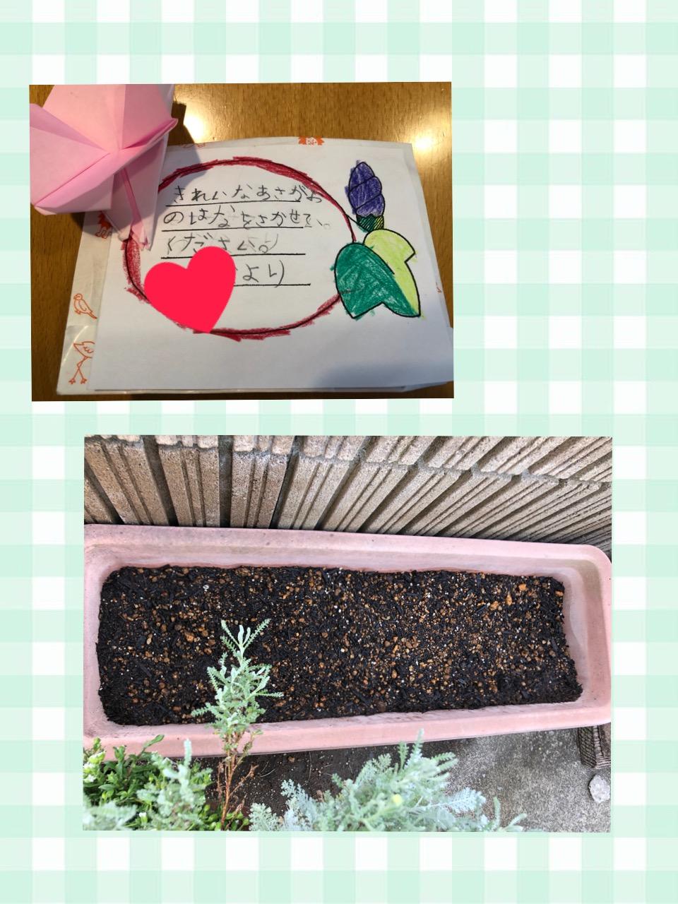 家庭菜園2018-1 | Kazlog