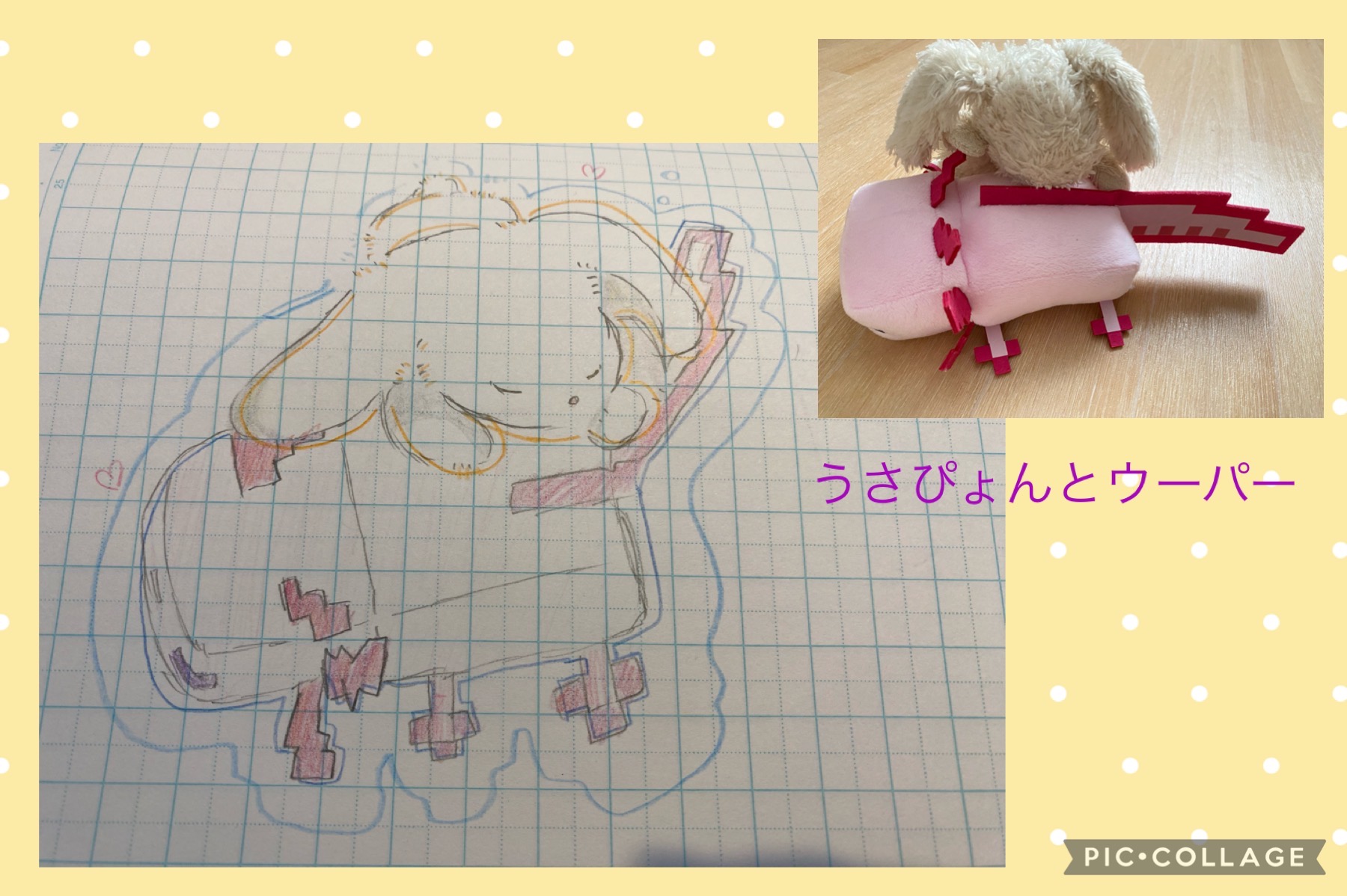 うさぴょん と | Kazlog